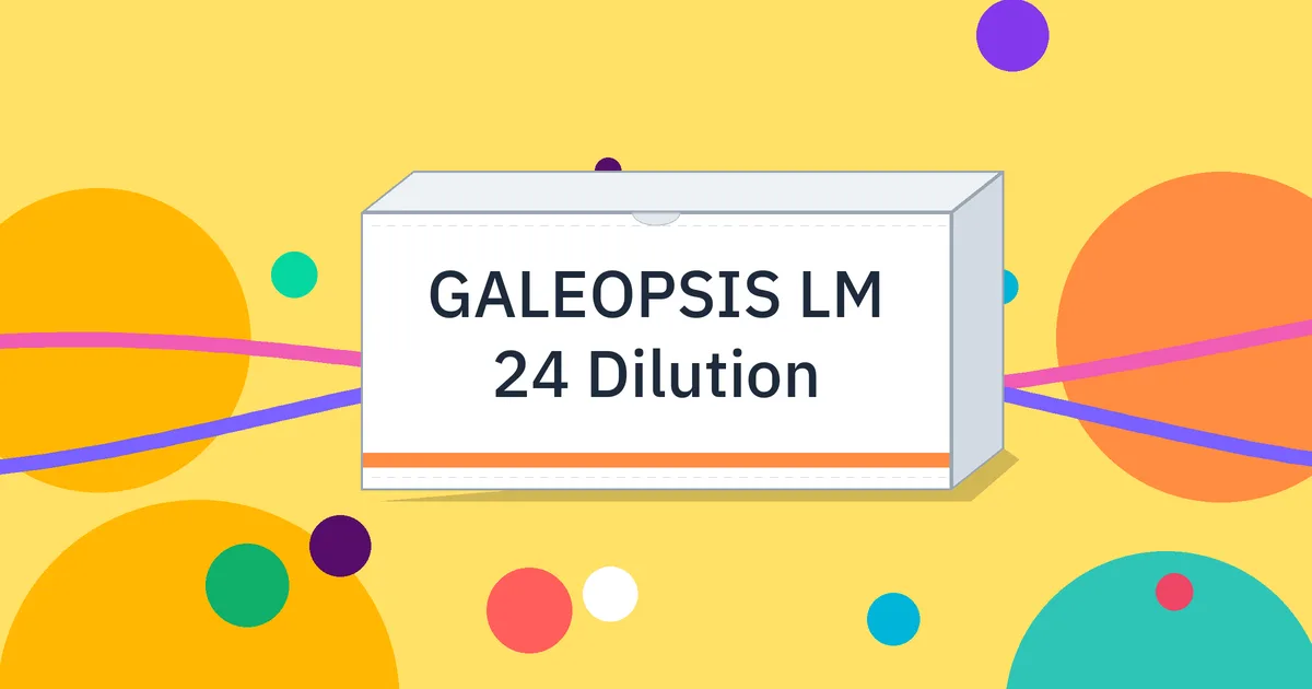 Symbolbild: Packung mit der Aufschrift GALEOPSIS LM 24 Dilution (PZN 13496362) – Verfügbarkeit und Bezug in Apotheken in Frankfurt am Main