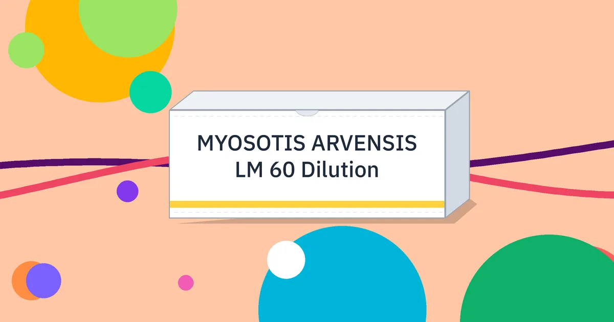 Symbolbild: Packung mit der Aufschrift MYOSOTIS ARVENSIS LM 60 Dilution (PZN 13612360) – Verfügbarkeit und Bezug in Apotheken in Frankfurt am Main