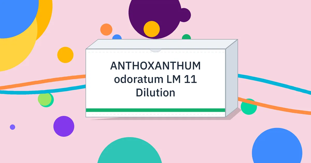 Symbolbild: Packung mit der Aufschrift ANTHOXANTHUM odoratum LM 11 Dilution (PZN 13369824) – Verfügbarkeit und Bezug in Apotheken in Frankfurt am Main
