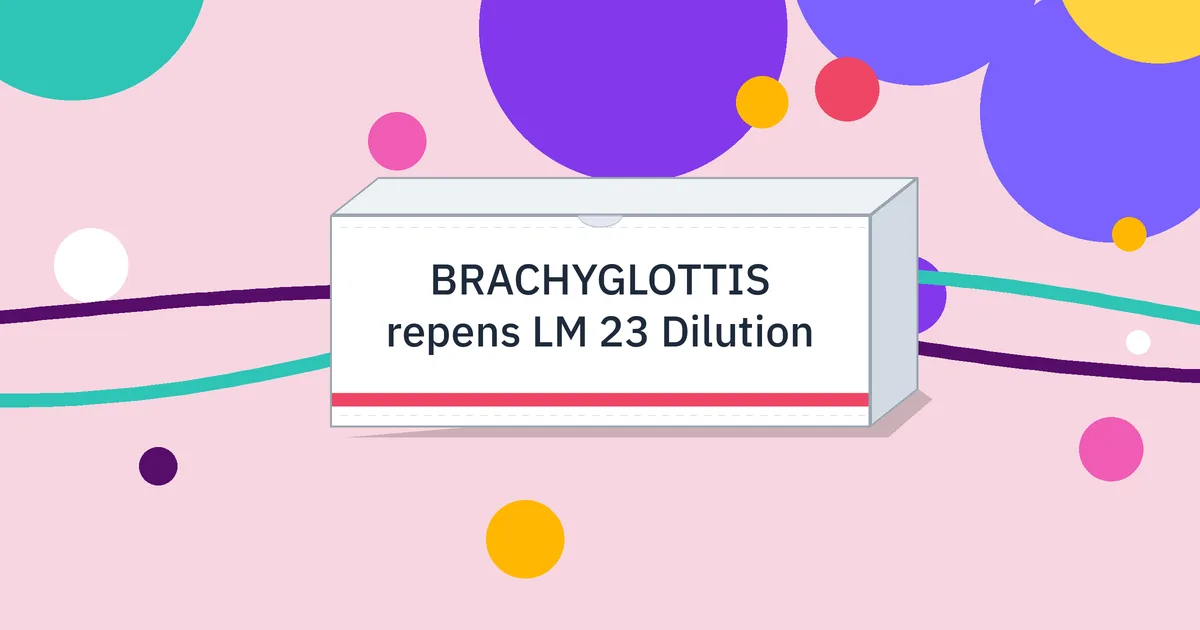 Symbolbild: Packung mit der Aufschrift BRACHYGLOTTIS repens LM 23 Dilution (PZN 13395135) – Verfügbarkeit und Bezug in Apotheken in Frankfurt am Main