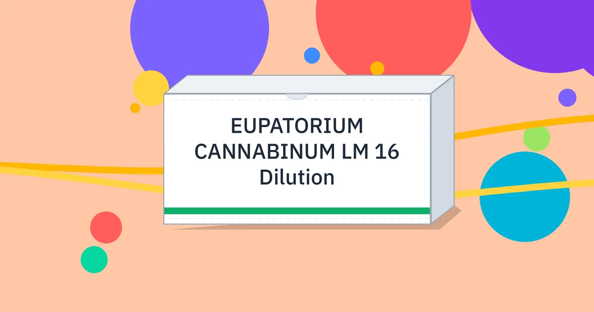 Symbolbild: Packung mit der Aufschrift EUPATORIUM CANNABINUM LM 16 Dilution (PZN 12845808) – Verfügbarkeit und Bezug in Apotheken in Frankfurt am Main