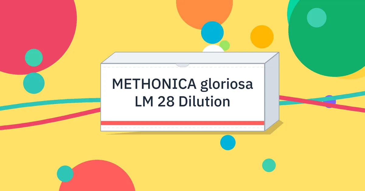 Symbolbild: Packung mit der Aufschrift METHONICA gloriosa LM 28 Dilution (PZN 13606744) – Verfügbarkeit und Bezug in Apotheken in Frankfurt am Main