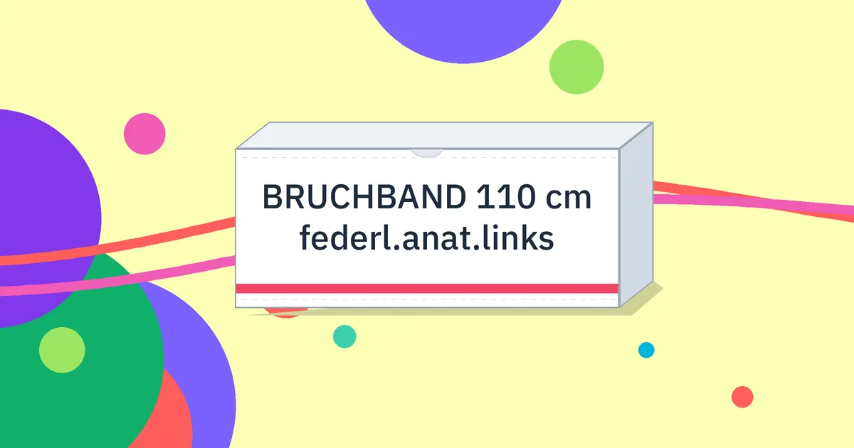 Symbolbild: Packung mit der Aufschrift BRUCHBAND 110 cm federl.anat.links (PZN 01961724) – Verfügbarkeit und Bezug in Apotheken in Frankfurt am Main