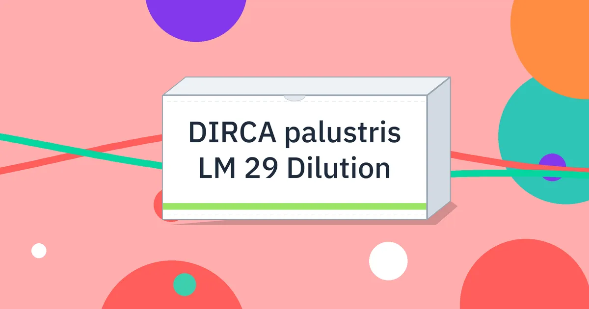 Symbolbild: Packung mit der Aufschrift DIRCA palustris LM 29 Dilution (PZN 13465829) – Verfügbarkeit und Bezug in Apotheken in Frankfurt am Main