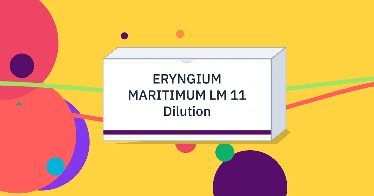 Symbolbild: Packung mit der Aufschrift ERYNGIUM MARITIMUM LM 11 Dilution (PZN 13479004) – Verfügbarkeit und Bezug in Apotheken in Frankfurt am Main