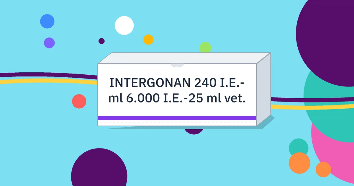 Symbolbild: Packung mit der Aufschrift INTERGONAN 240 I.E.-ml 6.000 I.E.-25 ml vet. (PZN 07099993) – Verfügbarkeit und Bezug in Apotheken in Frankfurt am Main