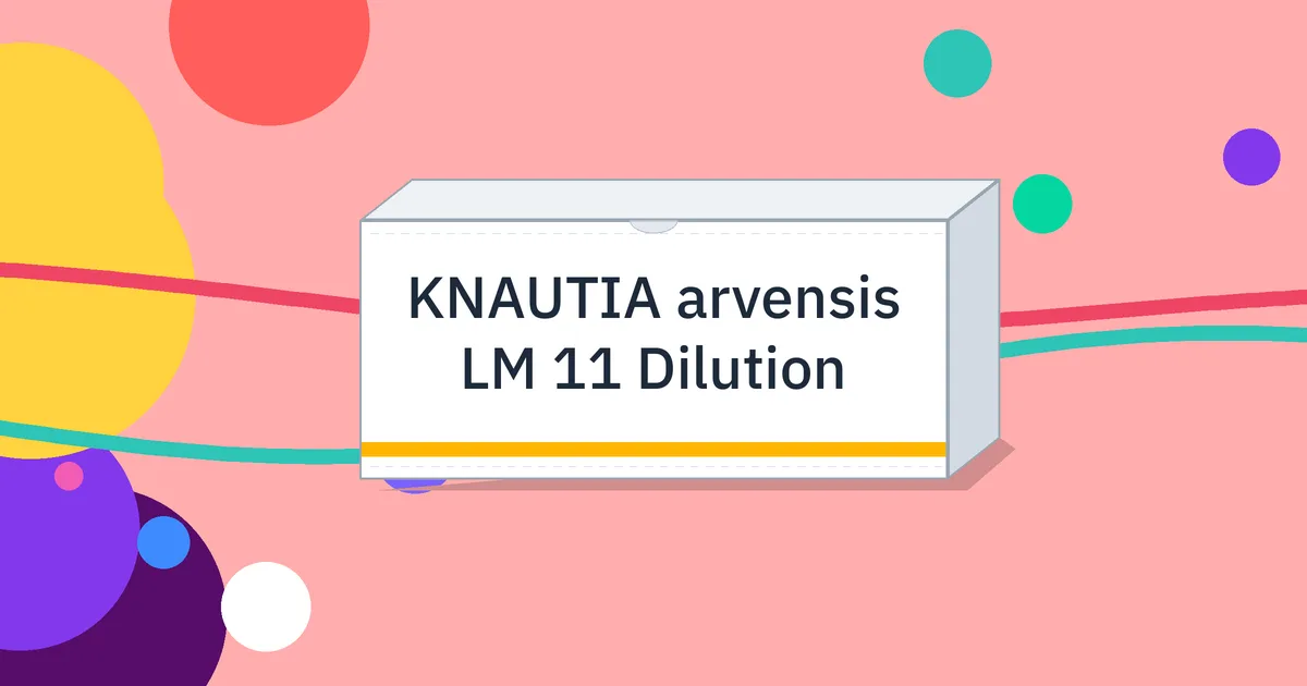 Symbolbild: Packung mit der Aufschrift KNAUTIA arvensis LM 11 Dilution (PZN 13518951) – Verfügbarkeit und Bezug in Apotheken in Frankfurt am Main
