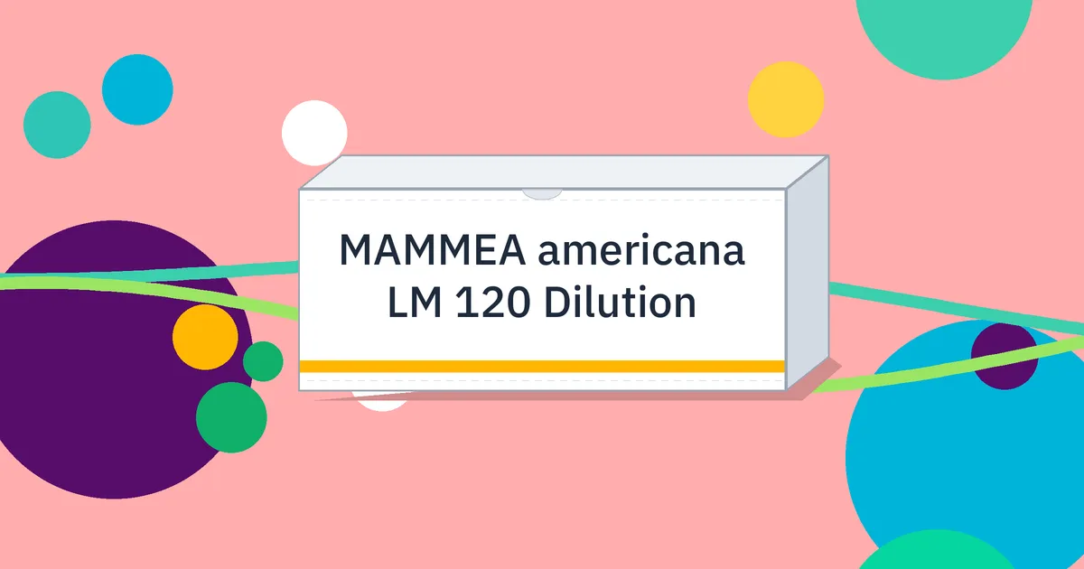 Symbolbild: Packung mit der Aufschrift MAMMEA americana LM 120 Dilution (PZN 13540666) – Verfügbarkeit und Bezug in Apotheken in Frankfurt am Main