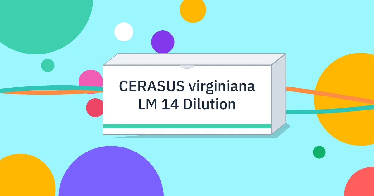 Symbolbild: Packung mit der Aufschrift CERASUS virginiana LM 14 Dilution (PZN 13436638) – Verfügbarkeit und Bezug in Apotheken in Frankfurt am Main