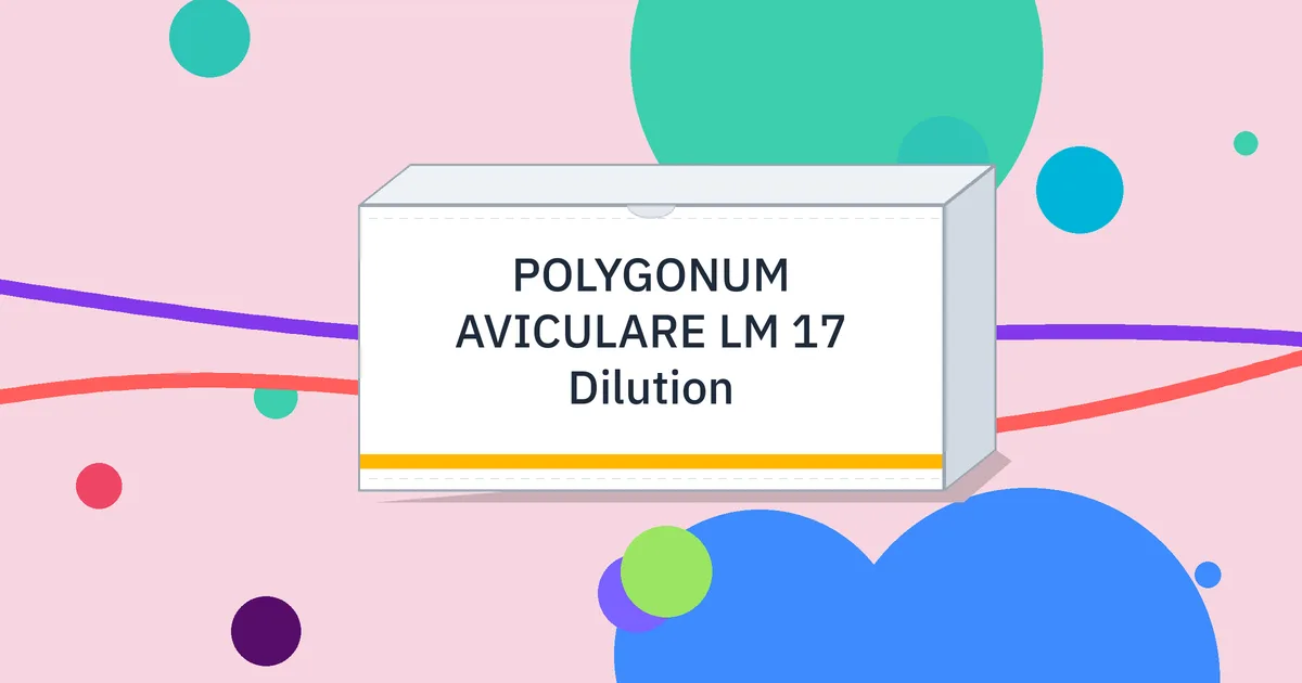 Symbolbild: Packung mit der Aufschrift POLYGONUM AVICULARE LM 17 Dilution (PZN 13662010) – Verfügbarkeit und Bezug in Apotheken in Frankfurt am Main