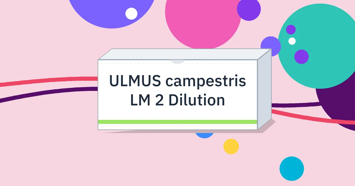 Symbolbild: Packung mit der Aufschrift ULMUS campestris LM 2 Dilution (PZN 13255167) – Verfügbarkeit und Bezug in Apotheken in Frankfurt am Main