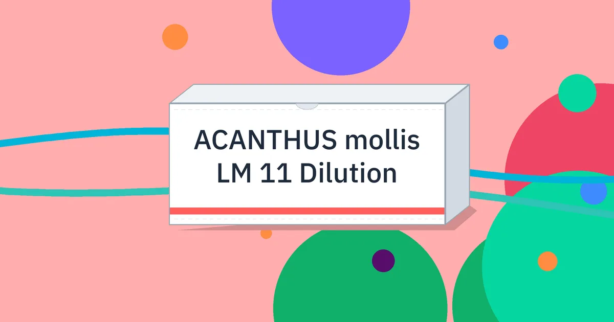 Symbolbild: Packung mit der Aufschrift ACANTHUS mollis LM 11 Dilution (PZN 13263221) – Verfügbarkeit und Bezug in Apotheken in Frankfurt am Main
