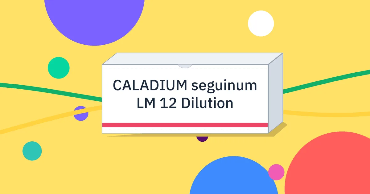 Symbolbild: Packung mit der Aufschrift CALADIUM seguinum LM 12 Dilution (PZN 13403886) – Verfügbarkeit und Bezug in Apotheken in Frankfurt am Main