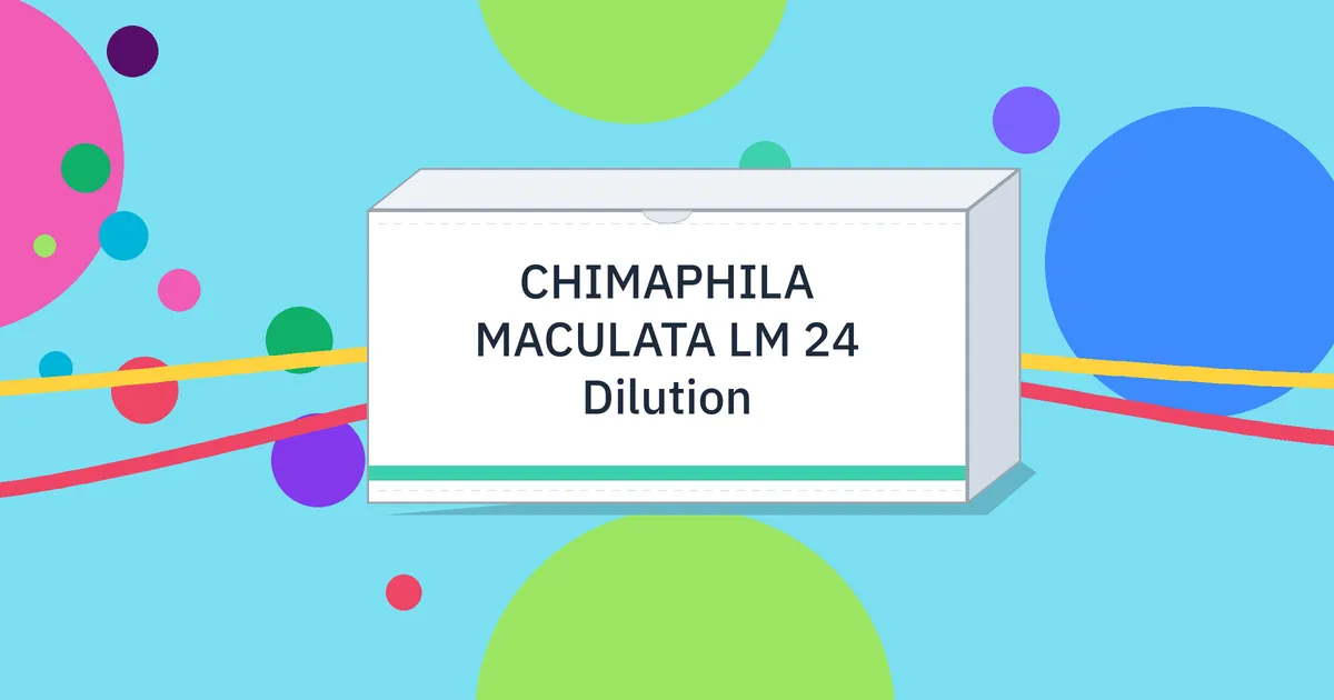 Symbolbild: Packung mit der Aufschrift CHIMAPHILA MACULATA LM 24 Dilution (PZN 13441935) – Verfügbarkeit und Bezug in Apotheken in Frankfurt am Main