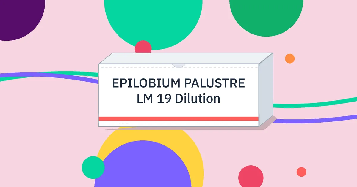 Symbolbild: Packung mit der Aufschrift EPILOBIUM PALUSTRE LM 19 Dilution (PZN 13472189) – Verfügbarkeit und Bezug in Apotheken in Frankfurt am Main