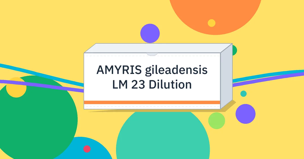 Symbolbild: Packung mit der Aufschrift AMYRIS gileadensis LM 23 Dilution (PZN 13327116) – Verfügbarkeit und Bezug in Apotheken in Frankfurt am Main