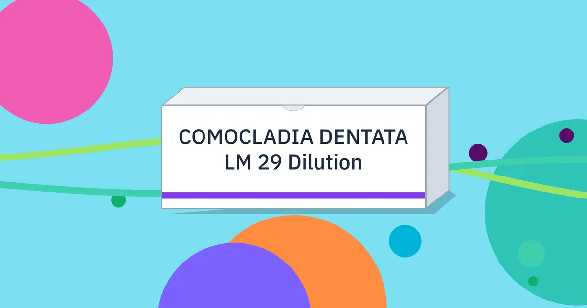 Symbolbild: Packung mit der Aufschrift COMOCLADIA DENTATA LM 29 Dilution (PZN 13449434) – Verfügbarkeit und Bezug in Apotheken in Frankfurt am Main