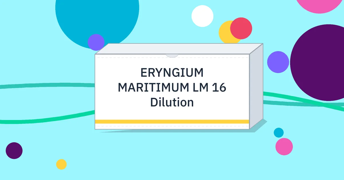 Symbolbild: Packung mit der Aufschrift ERYNGIUM MARITIMUM LM 16 Dilution (PZN 13479062) – Verfügbarkeit und Bezug in Apotheken in Frankfurt am Main