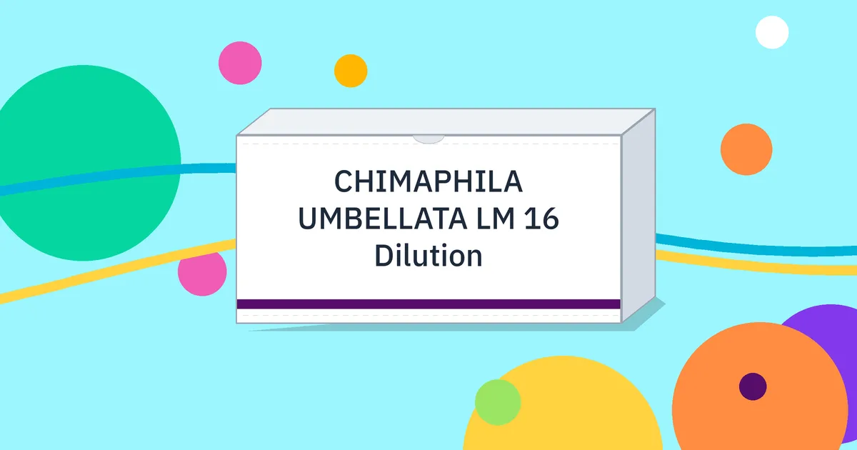 Symbolbild: Packung mit der Aufschrift CHIMAPHILA UMBELLATA LM 16 Dilution (PZN 12813429) – Verfügbarkeit und Bezug in Apotheken in Frankfurt am Main