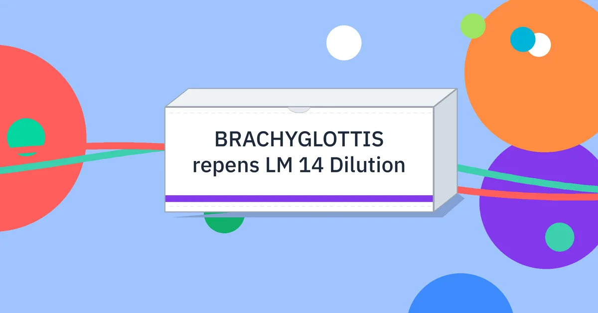 Symbolbild: Packung mit der Aufschrift BRACHYGLOTTIS repens LM 14 Dilution (PZN 13394928) – Verfügbarkeit und Bezug in Apotheken in Frankfurt am Main