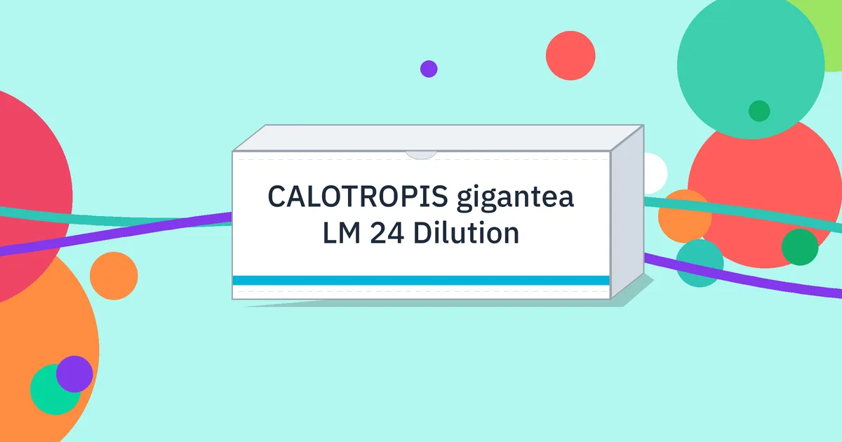 Symbolbild: Packung mit der Aufschrift CALOTROPIS gigantea LM 24 Dilution (PZN 13411288) – Verfügbarkeit und Bezug in Apotheken in Frankfurt am Main