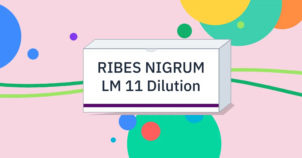 Symbolbild: Packung mit der Aufschrift RIBES NIGRUM LM 11 Dilution (PZN 13678761) – Verfügbarkeit und Bezug in Apotheken in Frankfurt am Main