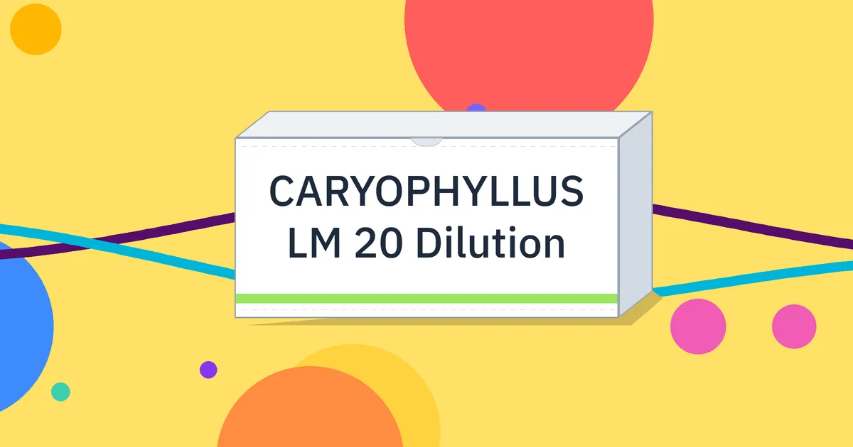 Symbolbild: Packung mit der Aufschrift CARYOPHYLLUS LM 20 Dilution (PZN 13432037) – Verfügbarkeit und Bezug in Apotheken in Frankfurt am Main