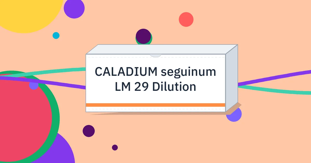 Symbolbild: Packung mit der Aufschrift CALADIUM seguinum LM 29 Dilution (PZN 13404265) – Verfügbarkeit und Bezug in Apotheken in Frankfurt am Main