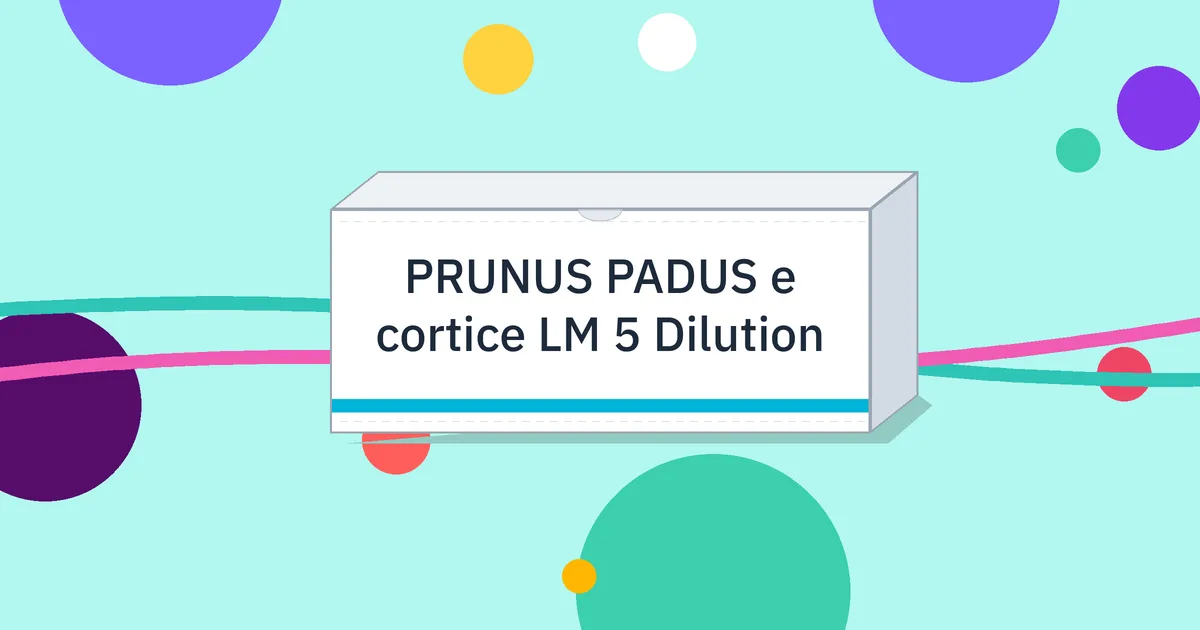 Symbolbild: Packung mit der Aufschrift PRUNUS PADUS e cortice LM 5 Dilution (PZN 13669288) – Verfügbarkeit und Bezug in Apotheken in Frankfurt am Main