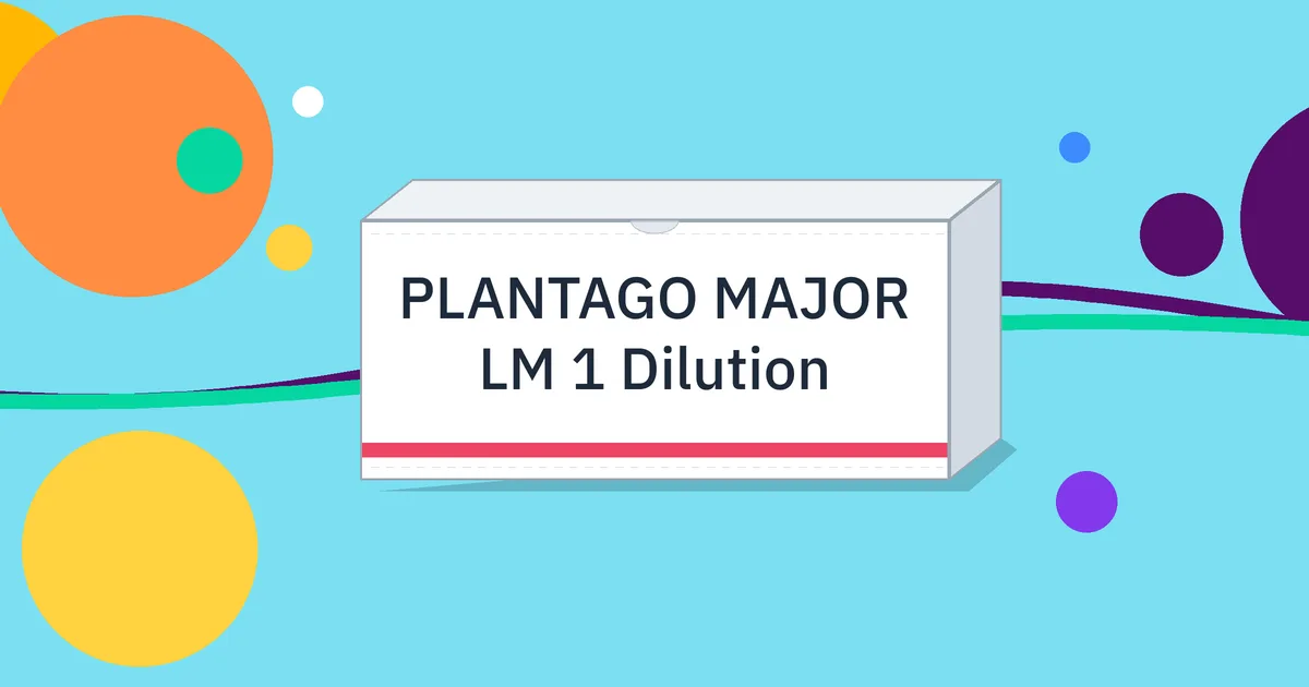 Symbolbild: Packung mit der Aufschrift PLANTAGO MAJOR LM 1 Dilution (PZN 13646560) – Verfügbarkeit und Bezug in Apotheken in Frankfurt am Main