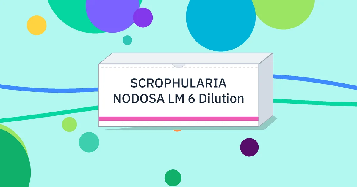 Symbolbild: Packung mit der Aufschrift SCROPHULARIA NODOSA LM 6 Dilution (PZN 13184361) – Verfügbarkeit und Bezug in Apotheken in Frankfurt am Main
