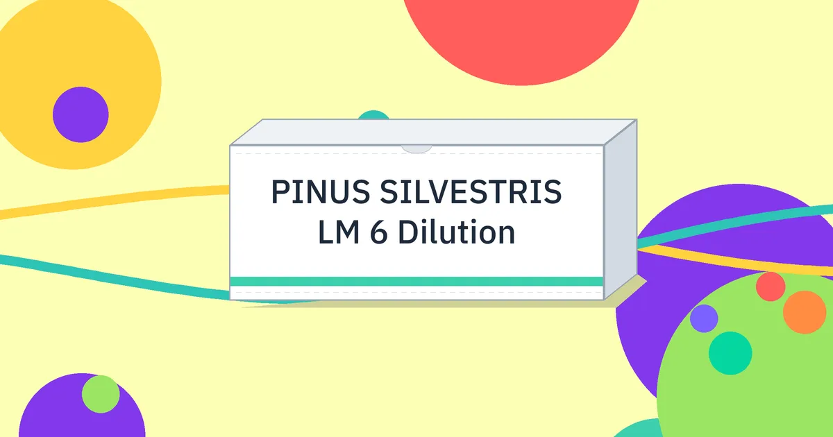 Symbolbild: Packung mit der Aufschrift PINUS SILVESTRIS LM 6 Dilution (PZN 13642898) – Verfügbarkeit und Bezug in Apotheken in Frankfurt am Main