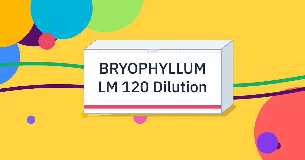 Symbolbild: Packung mit der Aufschrift BRYOPHYLLUM LM 120 Dilution (PZN 13397996) – Verfügbarkeit und Bezug in Apotheken in Frankfurt am Main