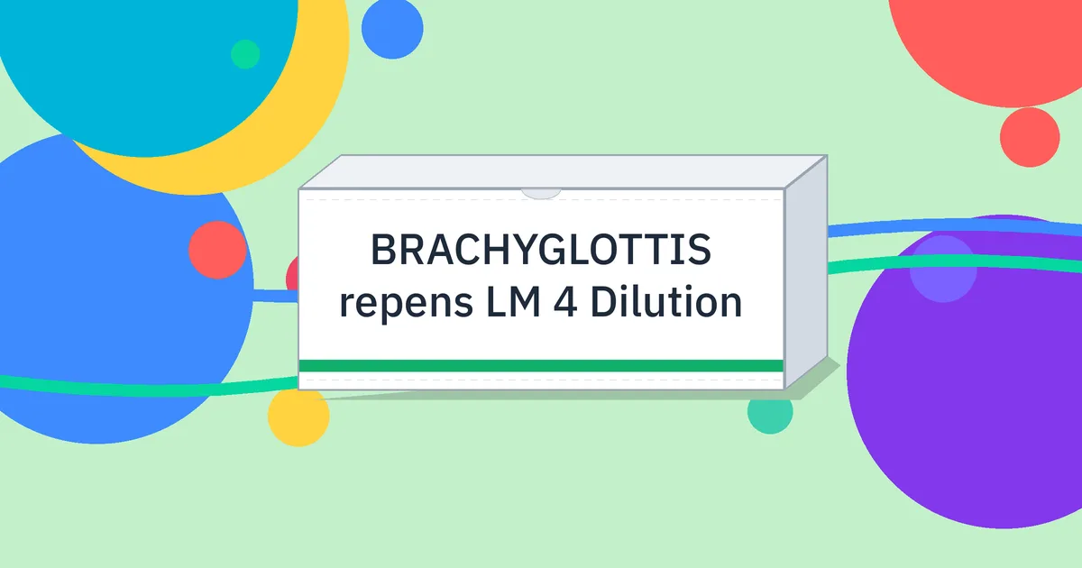 Symbolbild: Packung mit der Aufschrift BRACHYGLOTTIS repens LM 4 Dilution (PZN 13394667) – Verfügbarkeit und Bezug in Apotheken in Frankfurt am Main
