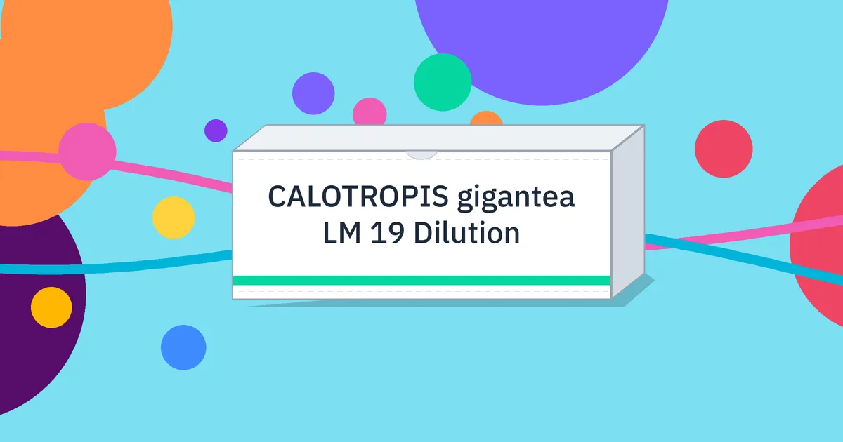 Symbolbild: Packung mit der Aufschrift CALOTROPIS gigantea LM 19 Dilution (PZN 13411236) – Verfügbarkeit und Bezug in Apotheken in Frankfurt am Main