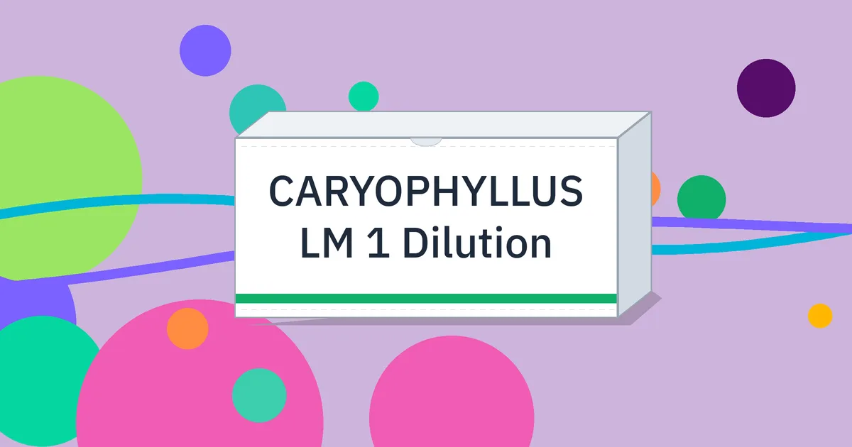 Symbolbild: Packung mit der Aufschrift CARYOPHYLLUS LM 1 Dilution (PZN 13431813) – Verfügbarkeit und Bezug in Apotheken in Frankfurt am Main