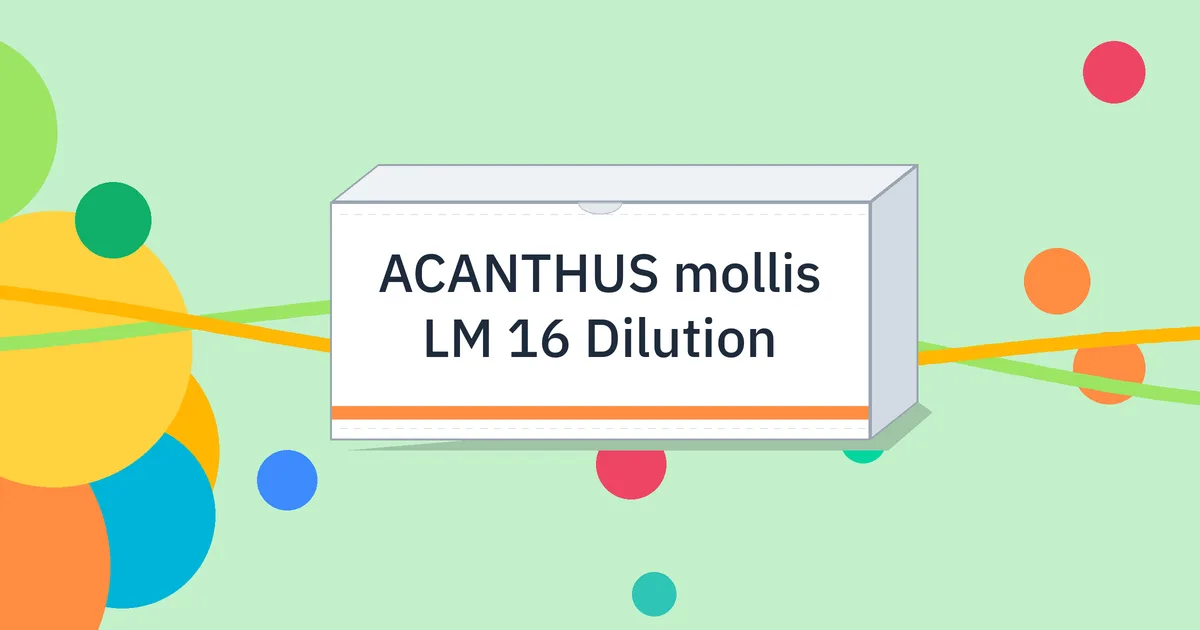 Symbolbild: Packung mit der Aufschrift ACANTHUS mollis LM 16 Dilution (PZN 13263327) – Verfügbarkeit und Bezug in Apotheken in Frankfurt am Main