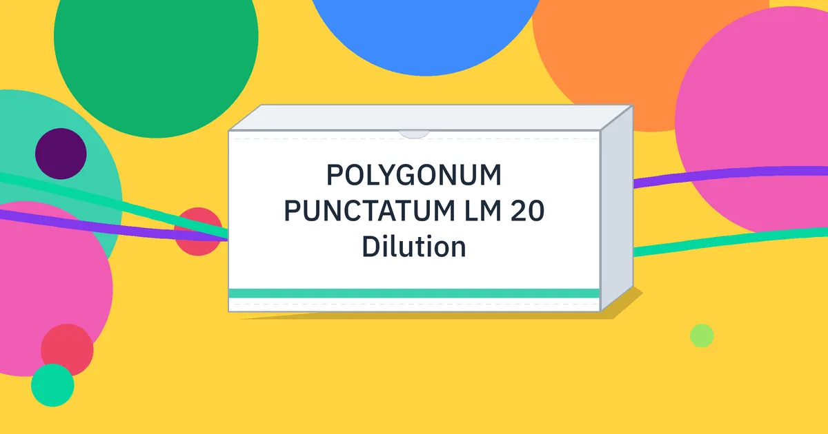 Symbolbild: Packung mit der Aufschrift POLYGONUM PUNCTATUM LM 20 Dilution (PZN 13662978) – Verfügbarkeit und Bezug in Apotheken in Frankfurt am Main