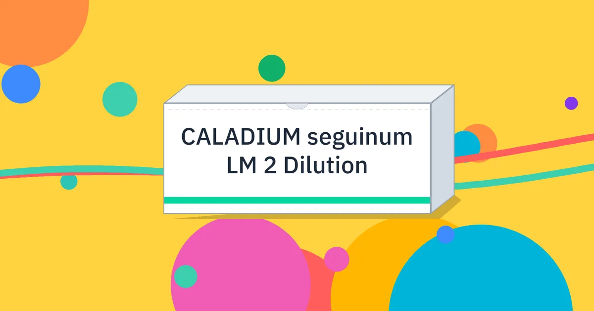 Symbolbild: Packung mit der Aufschrift CALADIUM seguinum LM 2 Dilution (PZN 13403627) – Verfügbarkeit und Bezug in Apotheken in Frankfurt am Main