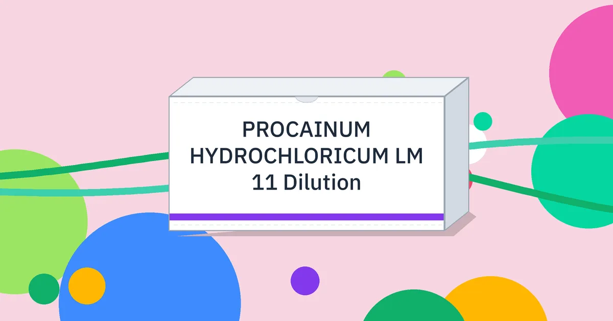 Symbolbild: Packung mit der Aufschrift PROCAINUM HYDROCHLORICUM LM 11 Dilution (PZN 13668449) – Verfügbarkeit und Bezug in Apotheken in Frankfurt am Main