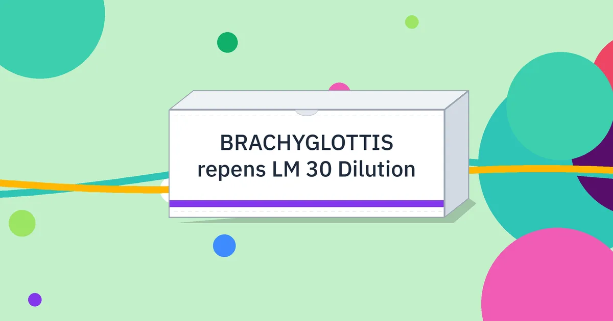 Symbolbild: Packung mit der Aufschrift BRACHYGLOTTIS repens LM 30 Dilution (PZN 13395313) – Verfügbarkeit und Bezug in Apotheken in Frankfurt am Main