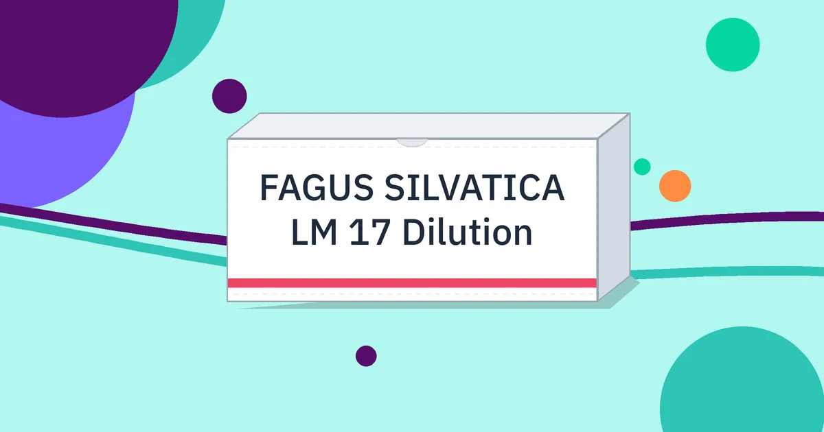 Symbolbild: Packung mit der Aufschrift FAGUS SILVATICA LM 17 Dilution (PZN 13487015) – Verfügbarkeit und Bezug in Apotheken in Frankfurt am Main