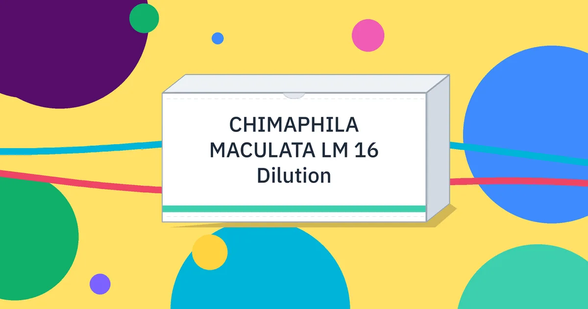 Symbolbild: Packung mit der Aufschrift CHIMAPHILA MACULATA LM 16 Dilution (PZN 13441817) – Verfügbarkeit und Bezug in Apotheken in Frankfurt am Main