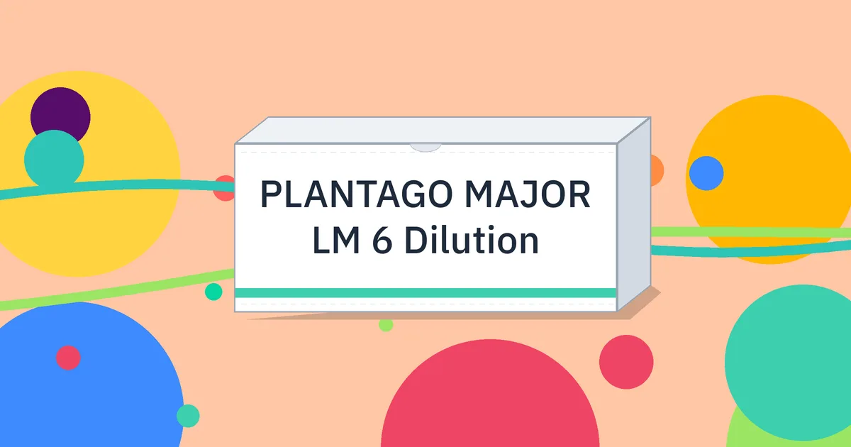 Symbolbild: Packung mit der Aufschrift PLANTAGO MAJOR LM 6 Dilution (PZN 13646637) – Verfügbarkeit und Bezug in Apotheken in Frankfurt am Main