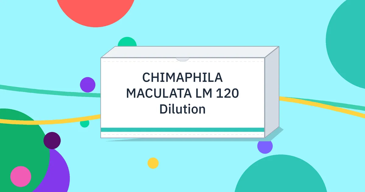 Symbolbild: Packung mit der Aufschrift CHIMAPHILA MACULATA LM 120 Dilution (PZN 13442082) – Verfügbarkeit und Bezug in Apotheken in Frankfurt am Main