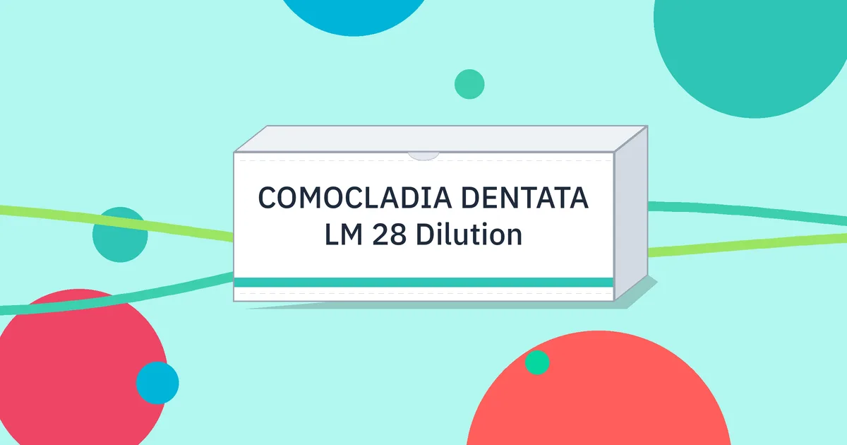 Symbolbild: Packung mit der Aufschrift COMOCLADIA DENTATA LM 28 Dilution (PZN 13449428) – Verfügbarkeit und Bezug in Apotheken in Frankfurt am Main