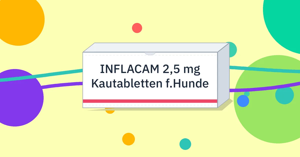 Symbolbild: Packung mit der Aufschrift INFLACAM 2,5 mg Kautabletten f.Hunde (PZN 04003337) – Verfügbarkeit und Bezug in Apotheken in Frankfurt am Main