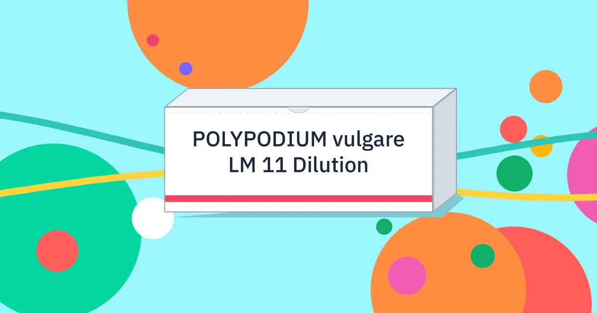 Symbolbild: Packung mit der Aufschrift POLYPODIUM vulgare LM 11 Dilution (PZN 13663328) – Verfügbarkeit und Bezug in Apotheken in Frankfurt am Main
