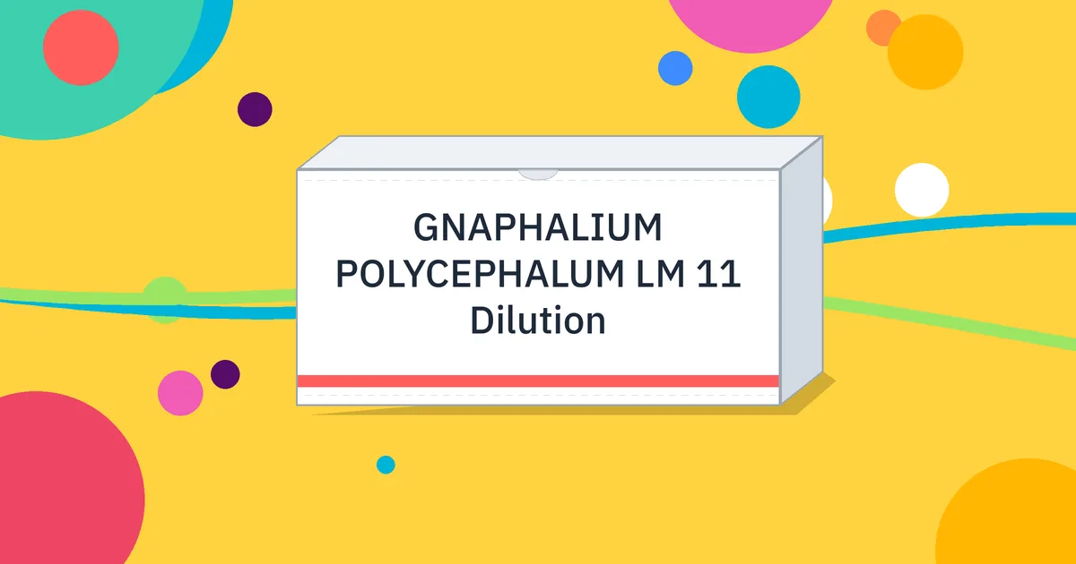 Symbolbild: Packung mit der Aufschrift GNAPHALIUM POLYCEPHALUM LM 11 Dilution (PZN 13545095) – Verfügbarkeit und Bezug in Apotheken in Frankfurt am Main