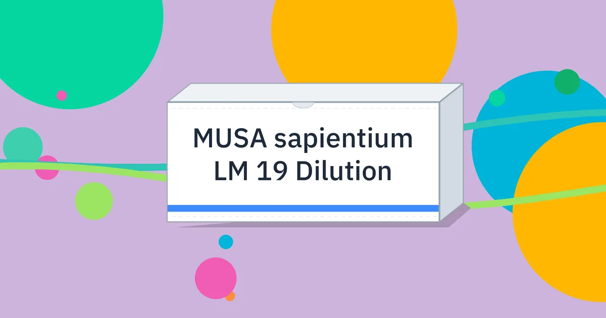 Symbolbild: Packung mit der Aufschrift MUSA sapientium LM 19 Dilution (PZN 13611751) – Verfügbarkeit und Bezug in Apotheken in Frankfurt am Main